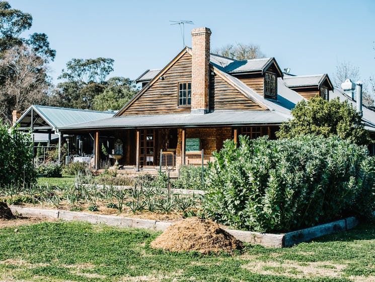 Circa 1876 餐厅 - 猎人谷旅游网