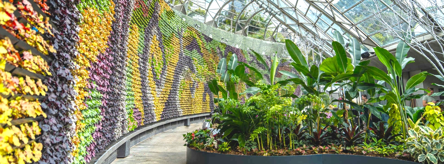 悉尼皇家植物园探秘之旅 - 猎人谷旅游网